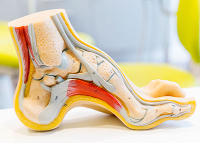 Find Locations - Cheyenne Regional Medical Center